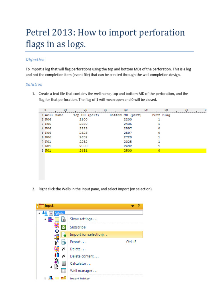 Import Perforation Flags in as Logs | PDF