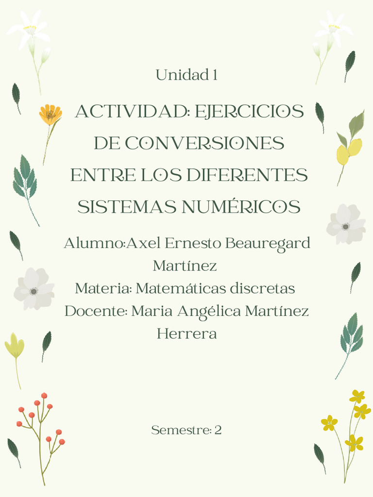 Ejercicios de Conversiones Numéricas | PDF