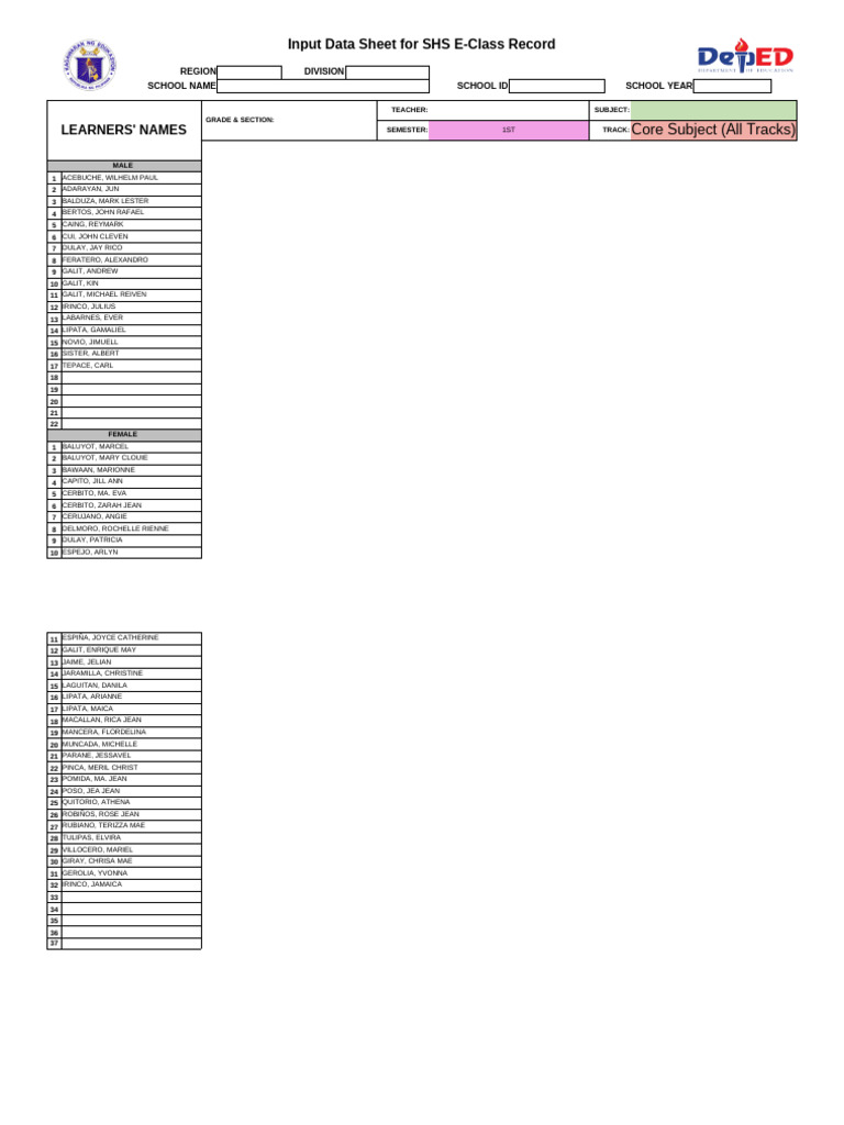 SHS E-Class Record Input Sheet | PDF