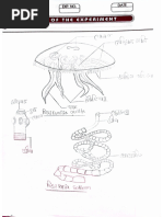 Higher Math Practical | PDF