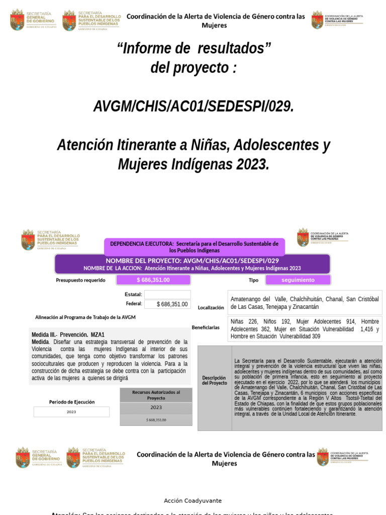 Proyecto AVGM CHIS AC01 SEDESPI 029 | PDF | La violencia contra las mujeres