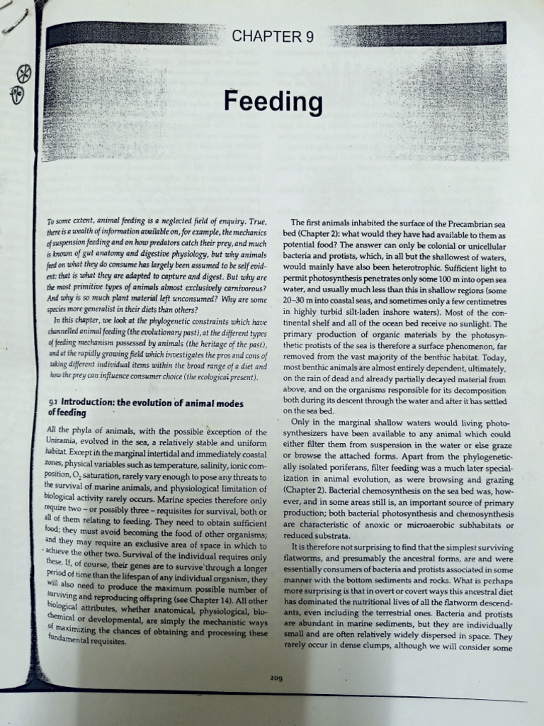 Feeding Book | PDF