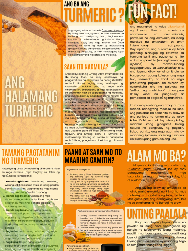 Turmeric Pamphlet PDF | PDF