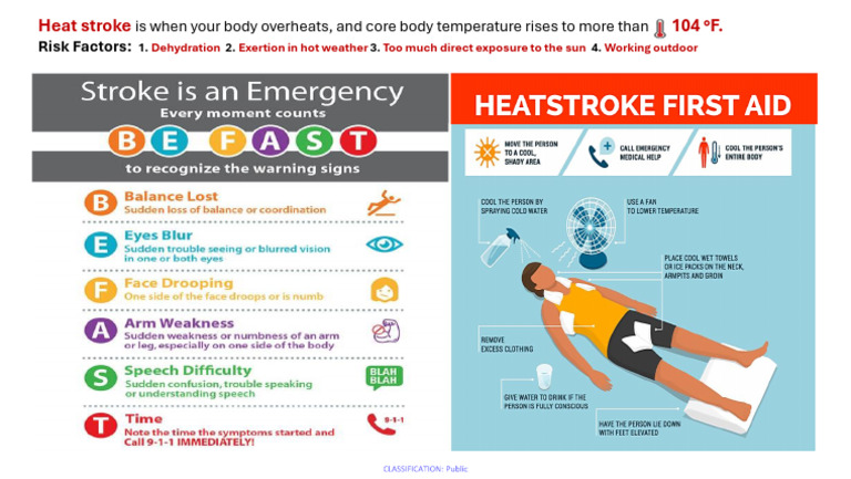 1 - Heat Stroke | PDF