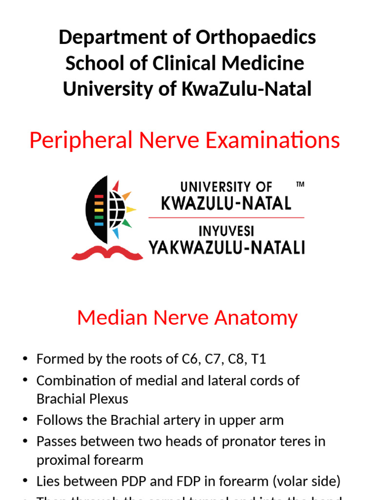 Peripheral Nerve Examination Guide | PDF | Thumb | Anatomical Terms Of ...