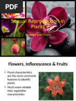 Angiosperm Reproduction Recap Guide | PDF
