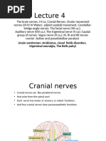 Oromotor and Cranial Nerve Assessment | PDF