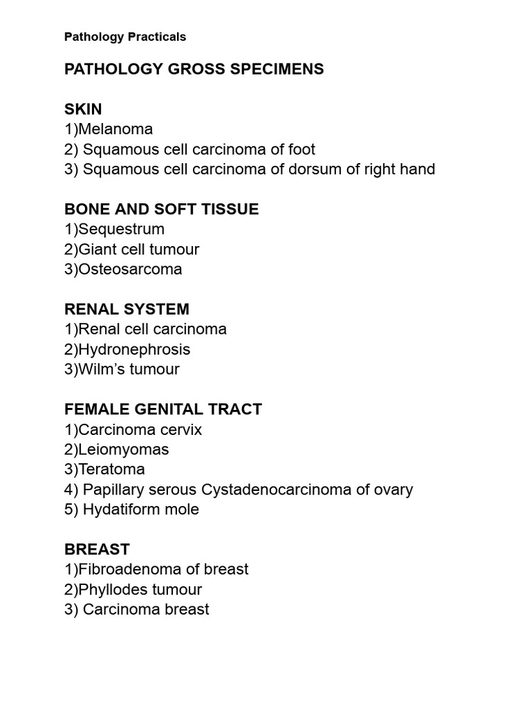 Pathology Gross Specimens 2NO'S (2×5 10 Marks) &viva | PDF | Lung ...