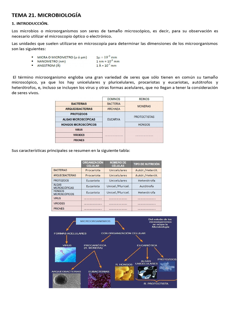 TEMA 21. MICROBIOLOGÍA | PDF | Virus | Las bacterias