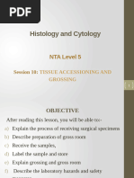 Grossing Guidelines for Pathology Specimens | PDF | Pathology | Biopsy