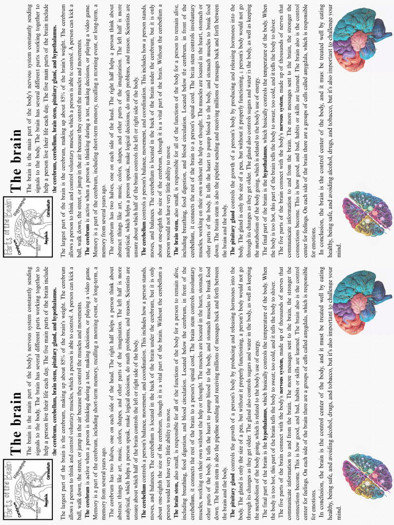 Brain Reading | PDF