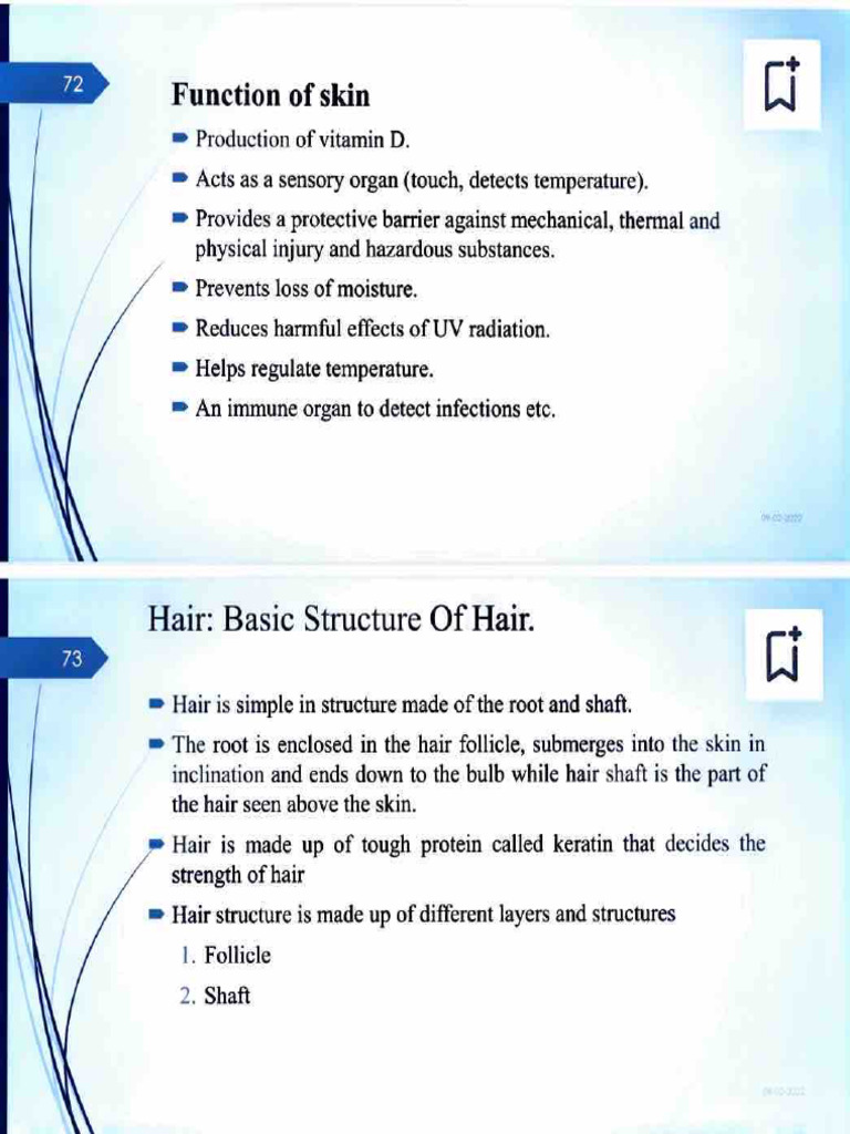 Function of Skin and STR of Hair | PDF