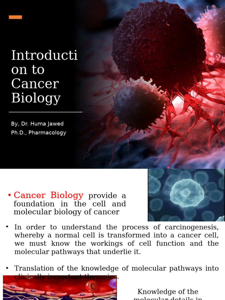 1.introduction To Cancer Biology 9-2024 | PDF | Cancer | Angiogenesis