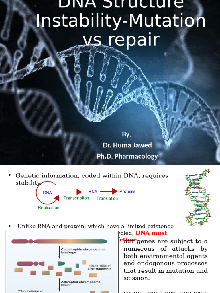 2.lecture 2-DNA Structure Instability-Mutation Vs Repair | PDF | Dna ...