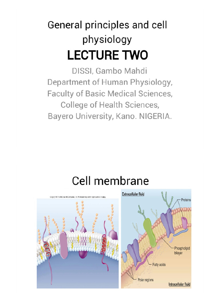 K Sembulingam Essentials of Medical Physiology, 6th Edition | PDF