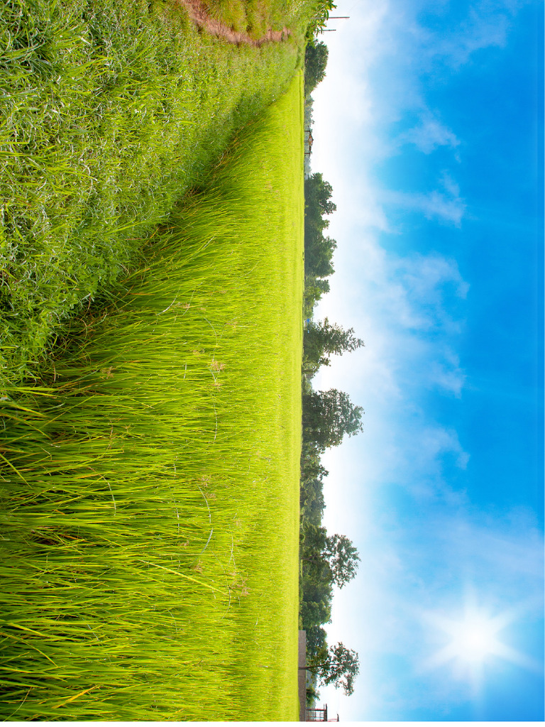 Exploring Food Webs Activity Science Worksheet in Green Brown Hand ...