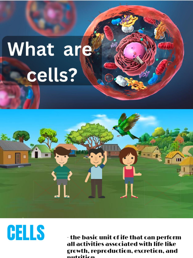 Cell Structure - Organization | PDF | Cell (Biology) | Endoplasmic Reticulum