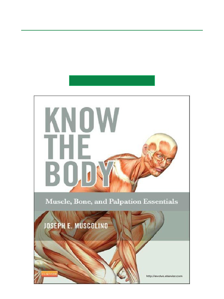 Know The Body Muscle, Bone, and Palpation Essentials Digital DOCX ...