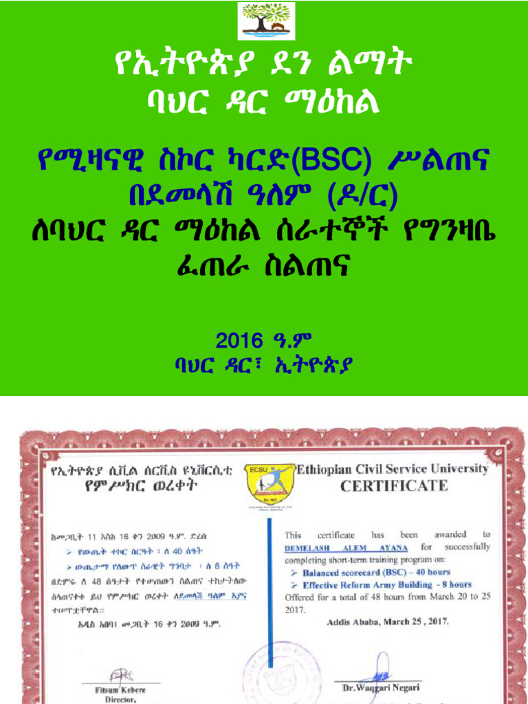 BSC For BEFD Training | PDF