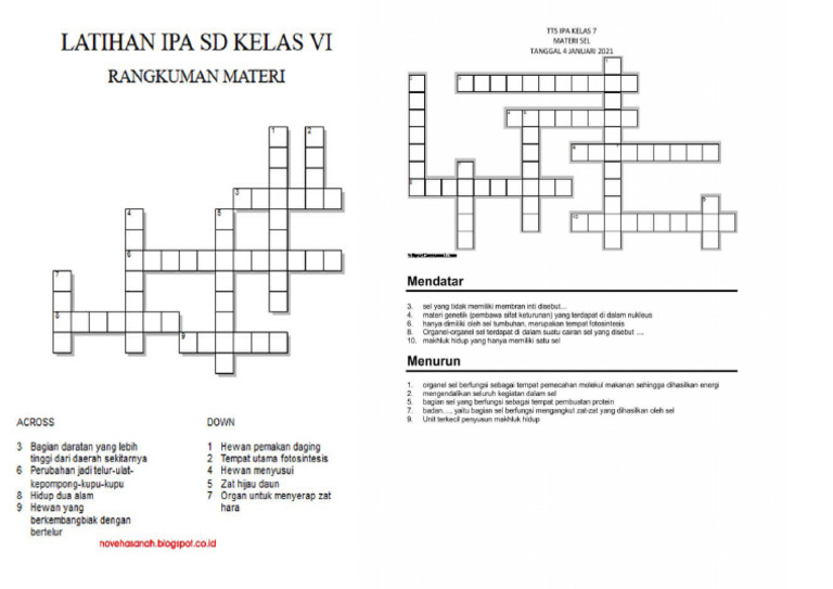Tts Ipa7 | PDF
