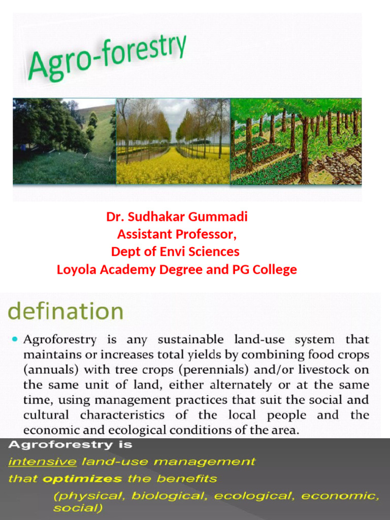 Agroforestry | PDF