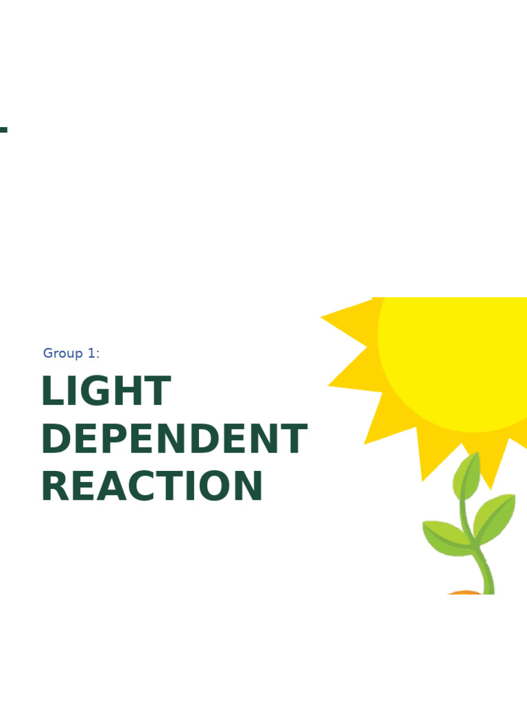 Light Dependent Reaction | PDF | Photosynthesis | Chemistry