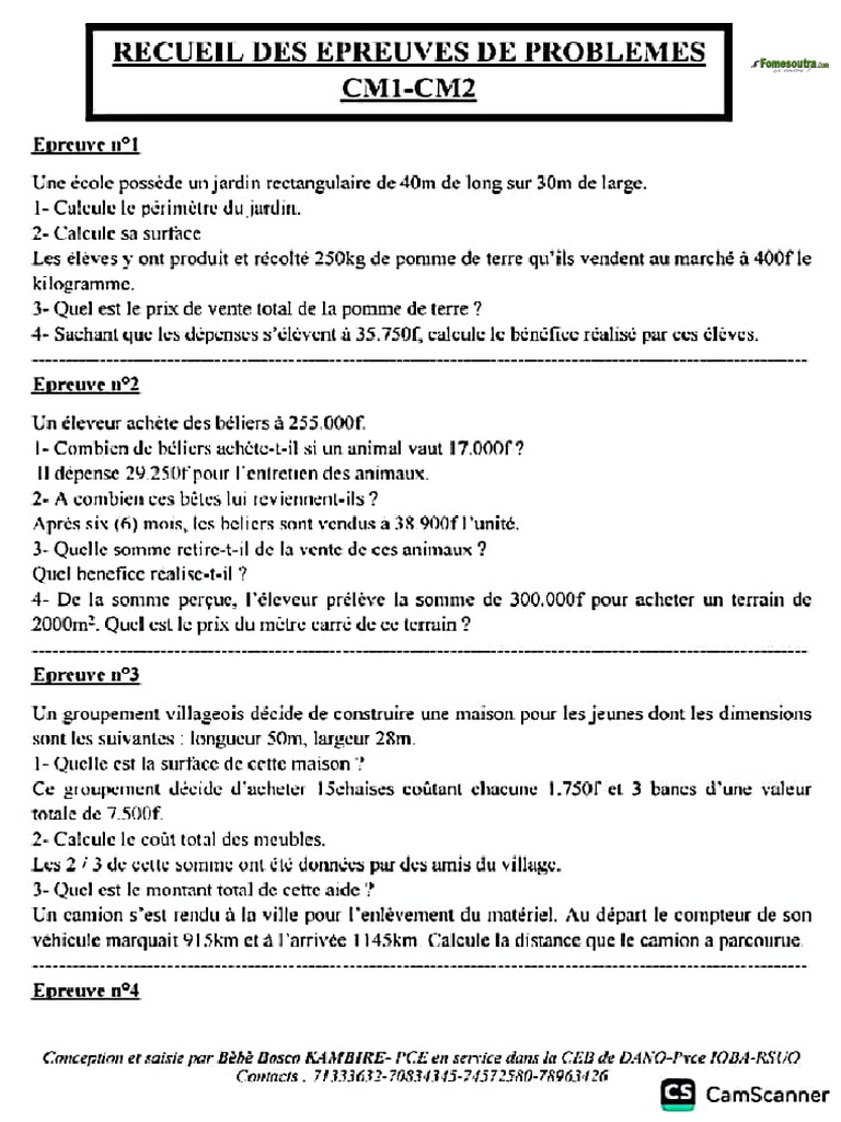 22 problèmes Maths du Primaire CM2 by TEHUA | PDF