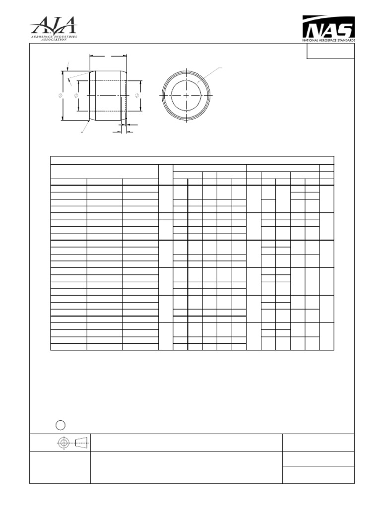 Nas1080 Rev14 | PDF