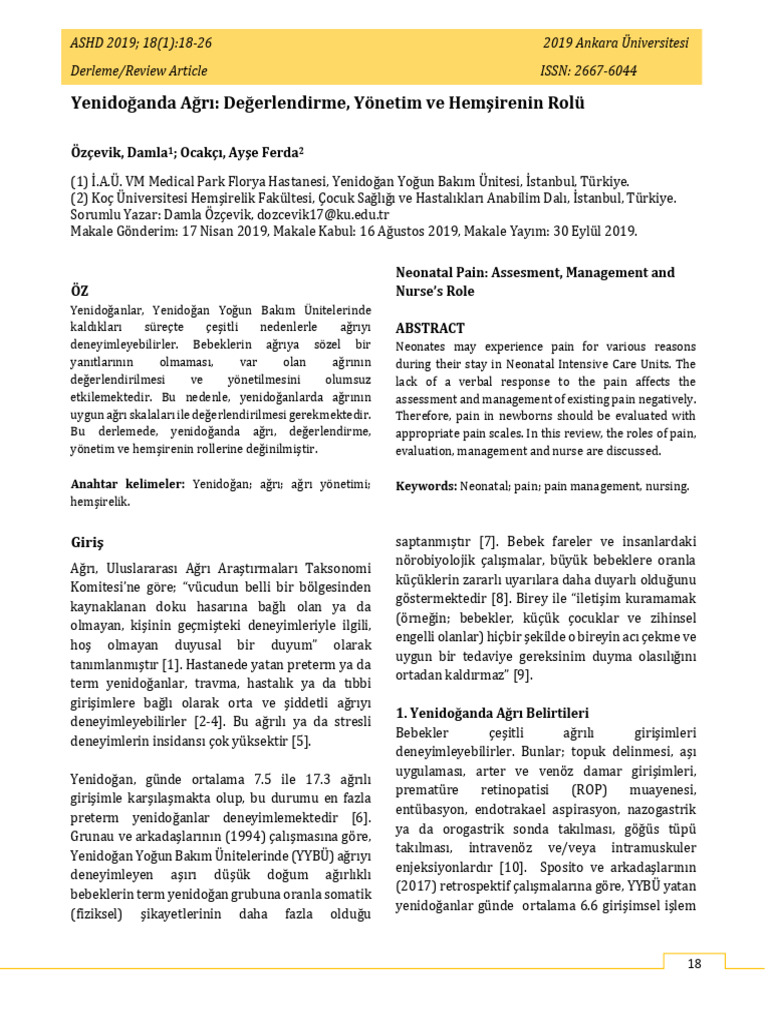 Yenido Anda A R de Erlendirme, Y Netim Ve Hem Irenin Rol (#573228) - 838461 | PDF