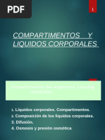 Distribucion de Los Liquidos Corporales | PDF | Biología Celular | Anatomía