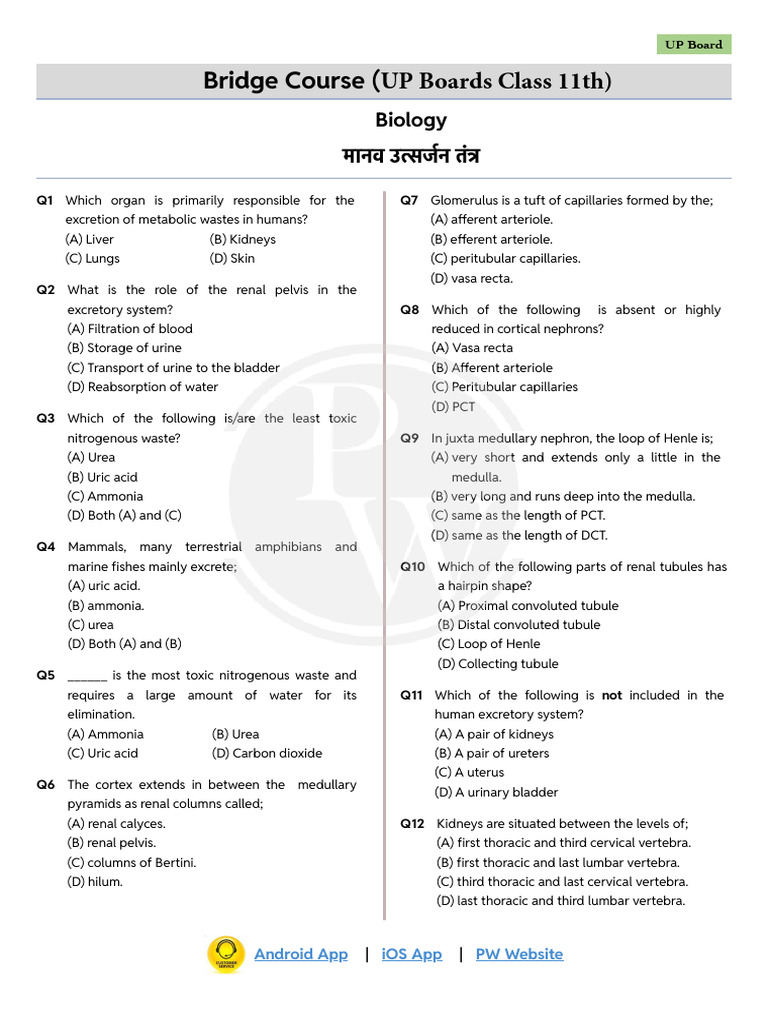 Practice Sheet (English) Bridge Course (UP Boards Class 11th) | PDF ...
