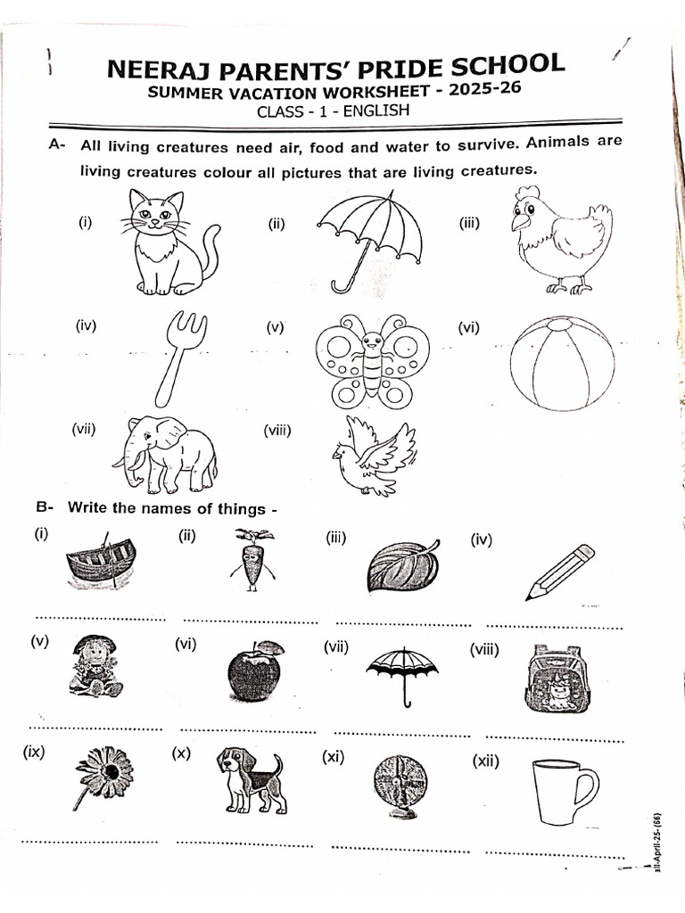 Class - 1 Summer Vacation Worksheet PDF | PDF