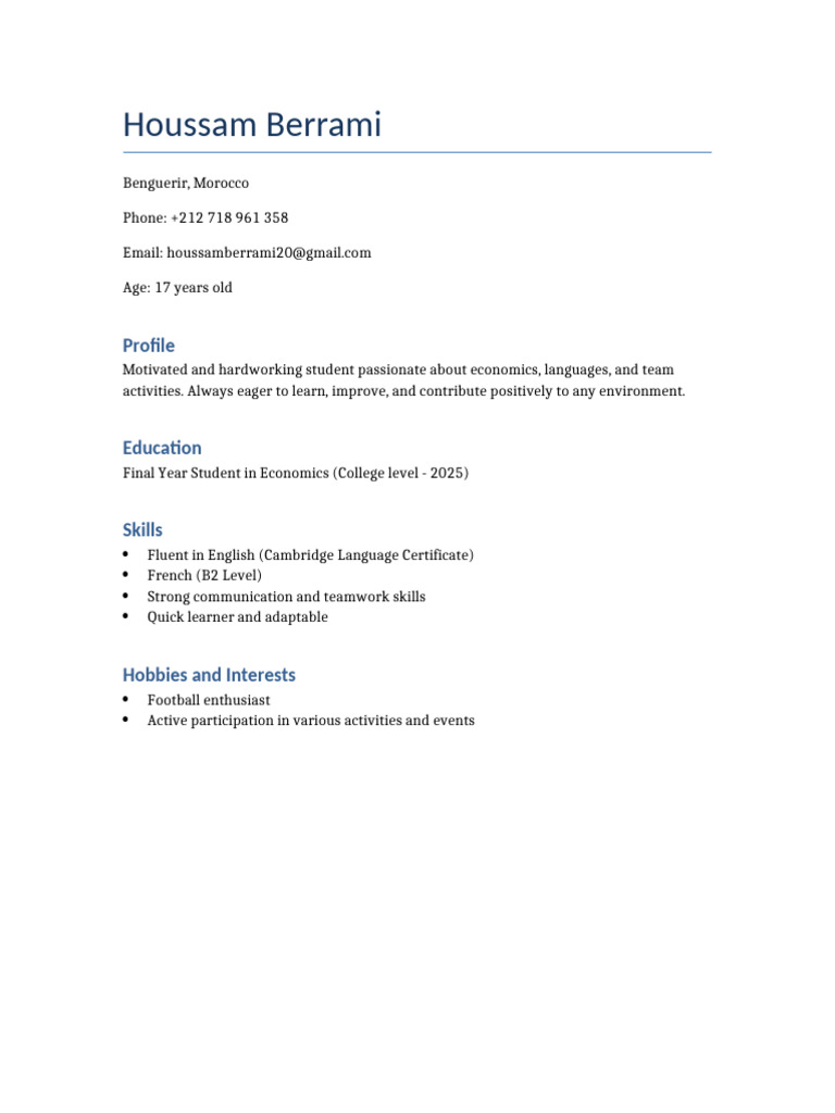 Houssam Berrami CV | PDF