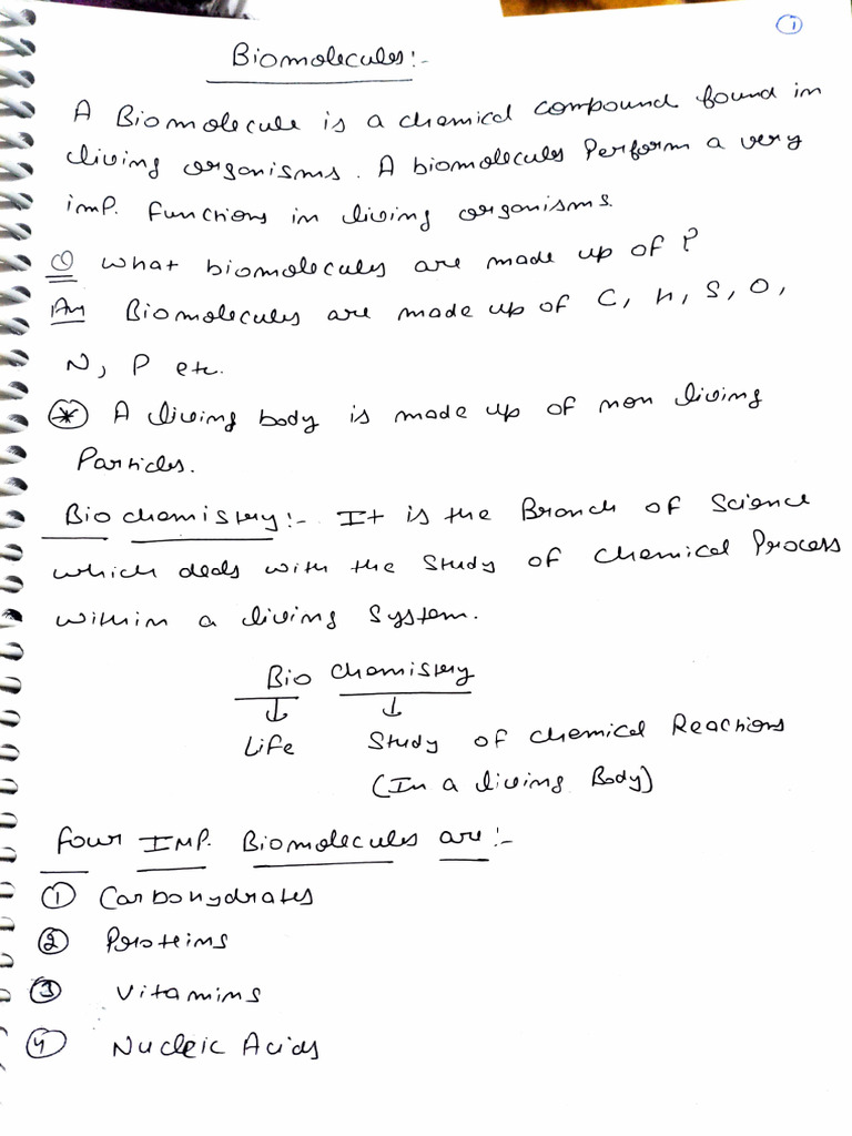 Class 12 (Biomolecule) | PDF