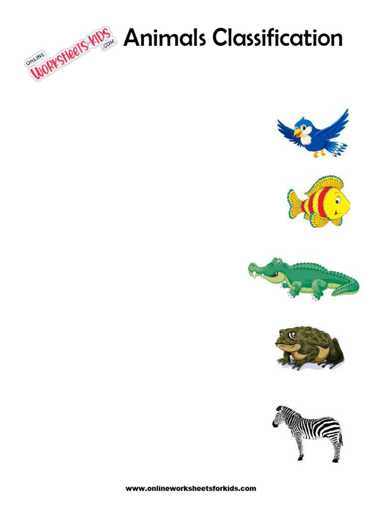 Animals Classification Worksheet For 1st Grade 1 | PDF