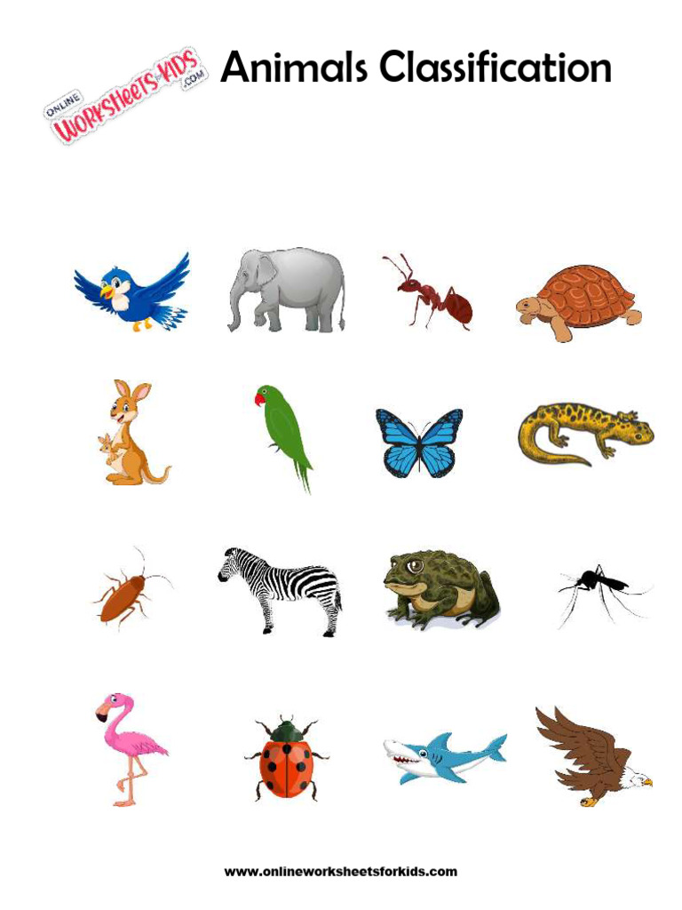Animals Classification Worksheet For 1st Grade 7 | PDF