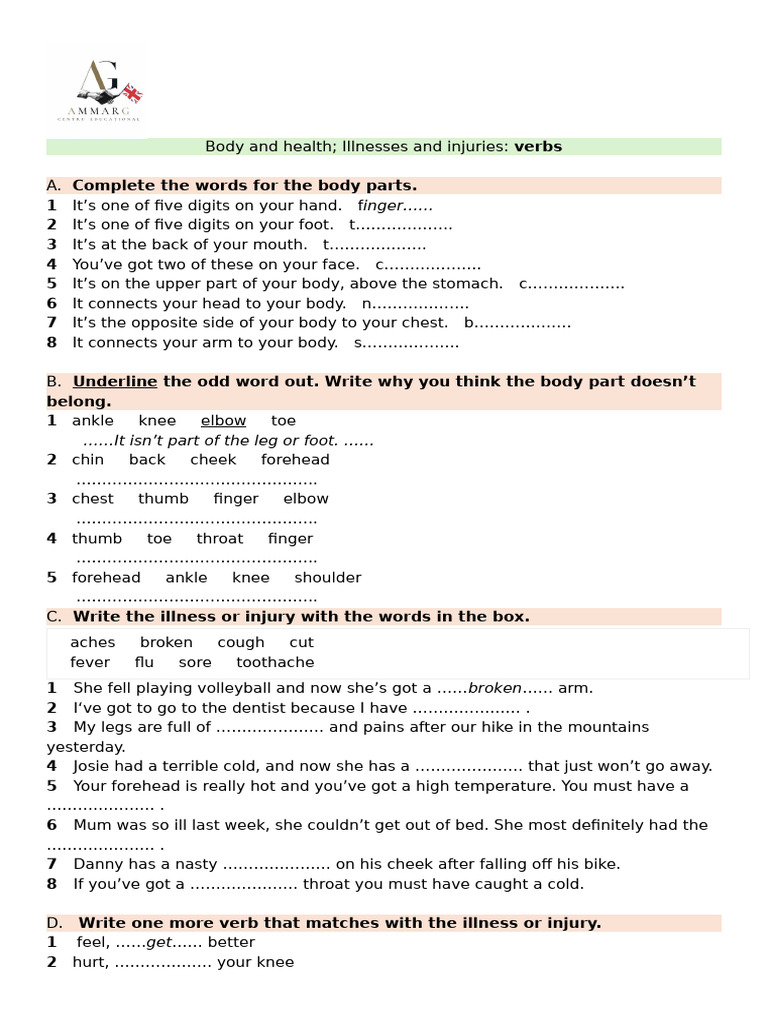 Illness Vocabulary and Body Parts Guide | PDF