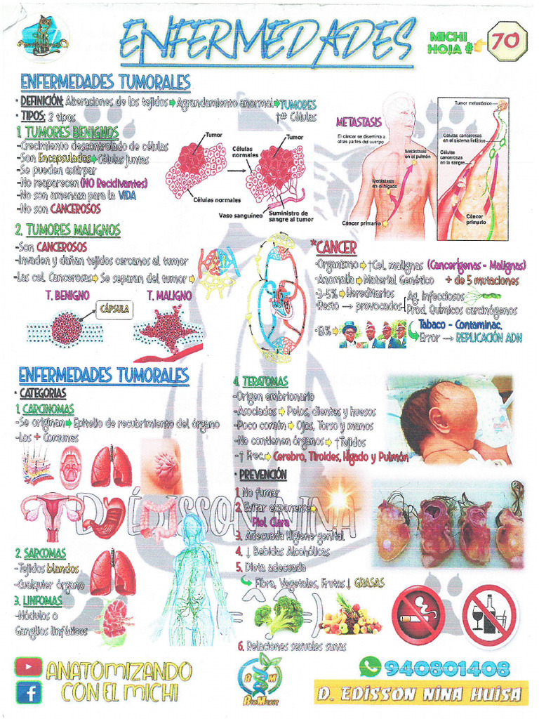 Anatomia 2 | PDF