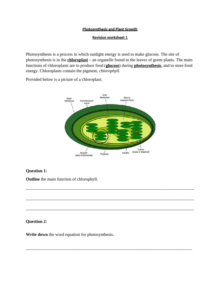 Photosynthesis and Plant Growth 1 | PDF