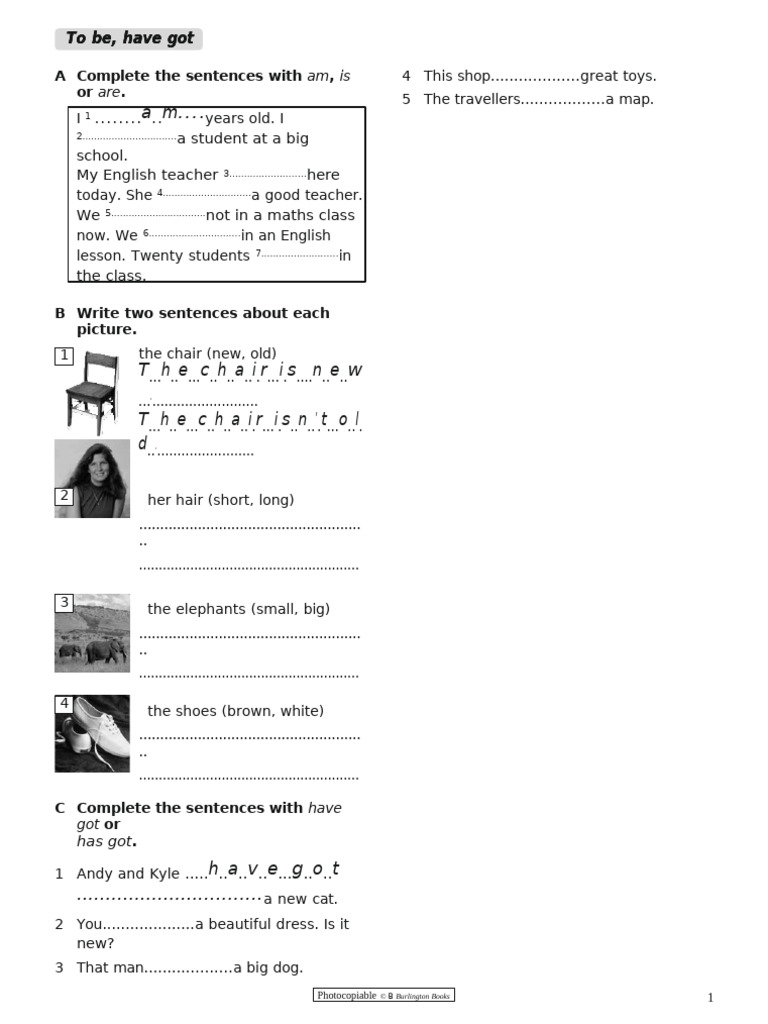 English Grammar Exercises: To Be & Have Got | PDF
