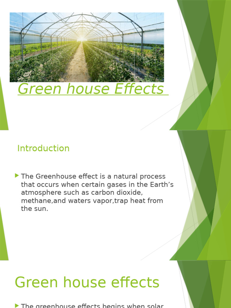 Understanding the Greenhouse Effect | PDF