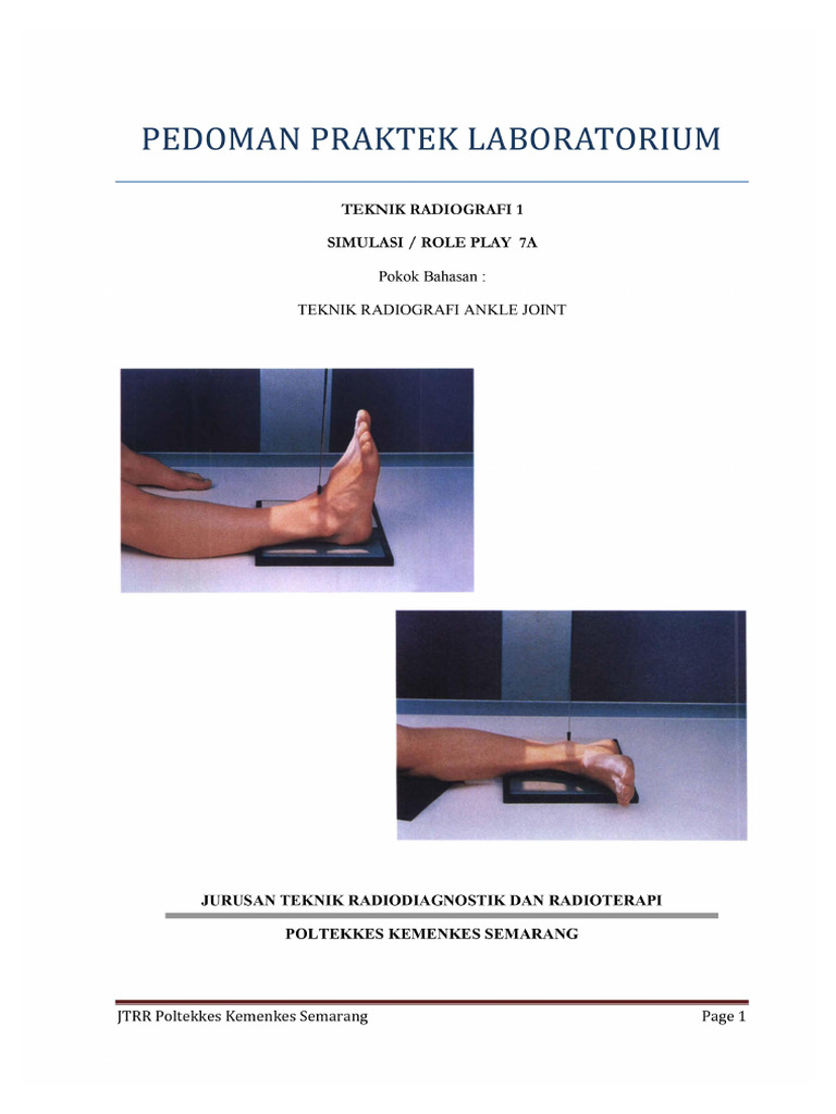 7A Modul Ankle Joint | PDF