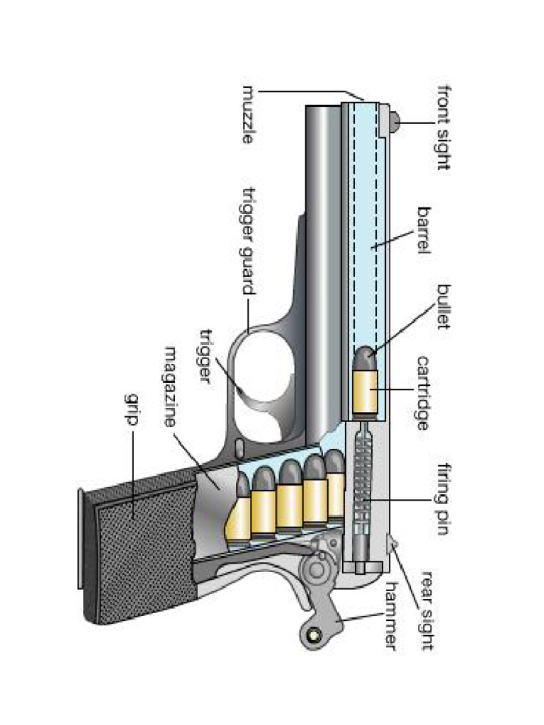 I Am Sharing 'Fire Arm' With You | PDF