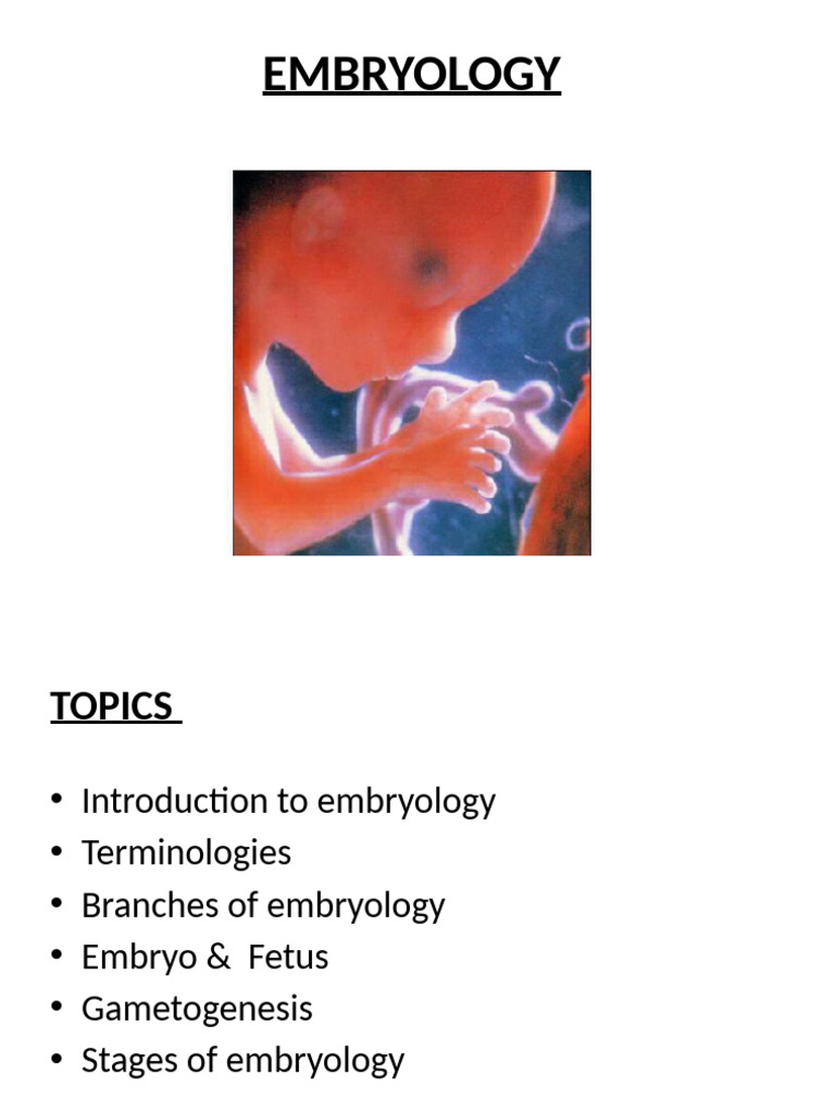 Introduction To Embryology | PDF | Embryo | Prenatal Development