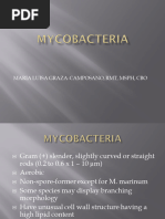 Legiolert Procedure Insert | PDF | Water | Purified Water
