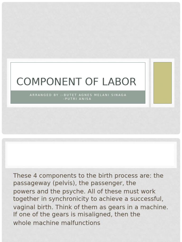 Component of Labor Agnes and Putri | PDF | Pelvis | Childbirth