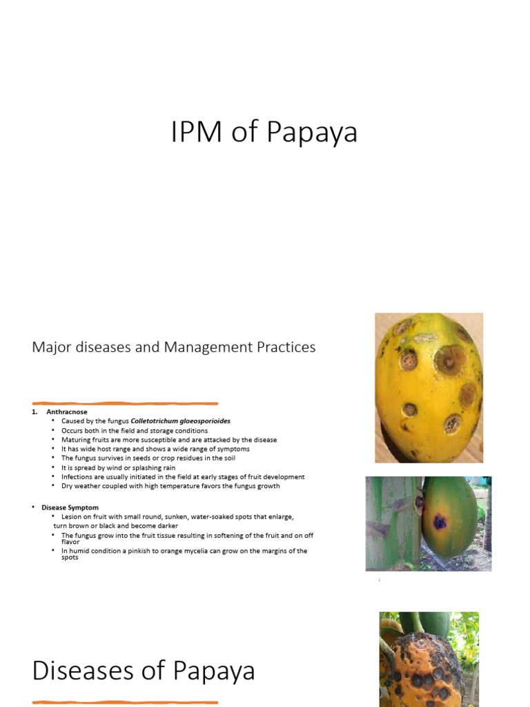 Papaya pests and diseases | PDF | Plants | Botany
