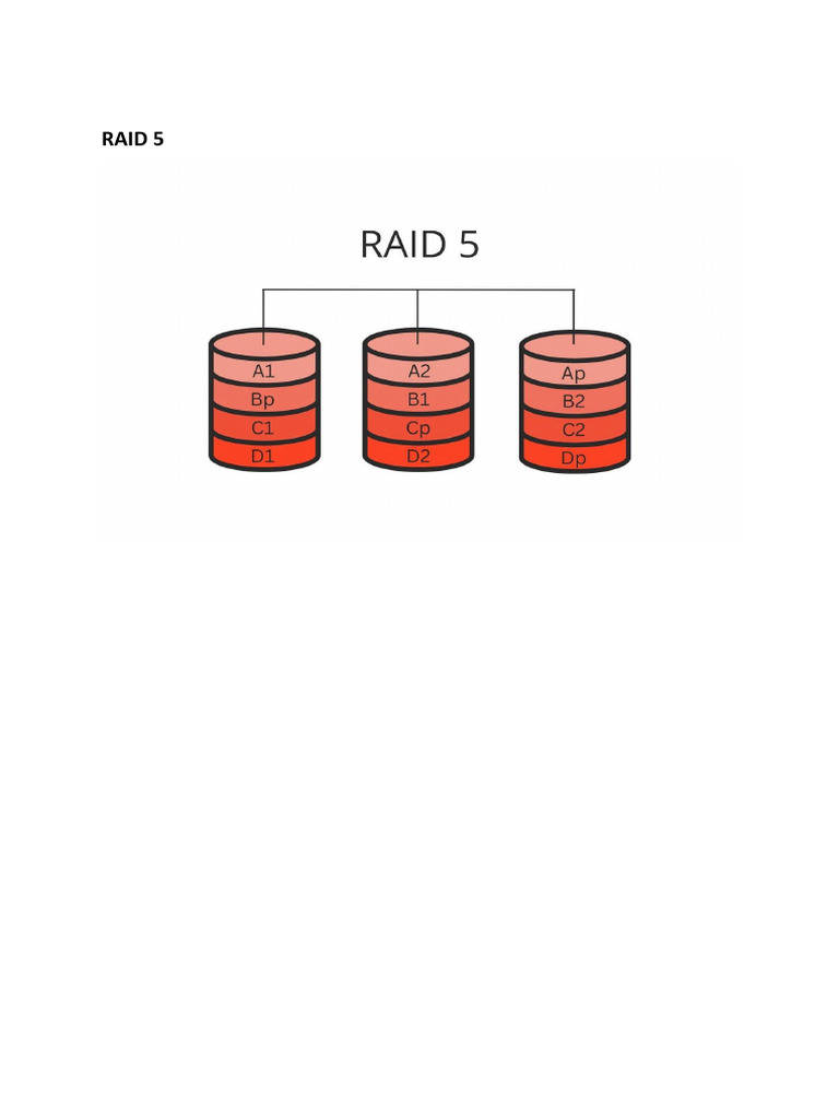 Raid 5 | PDF