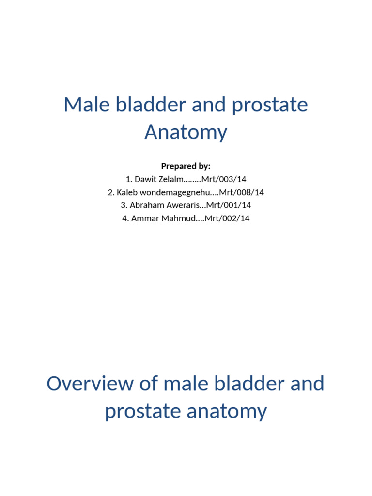 Copy-Male Bladder Prostate Presentation | PDF | Prostate | Prostate ...