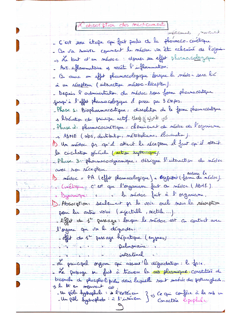 Absorption Medoc Résumé | PDF